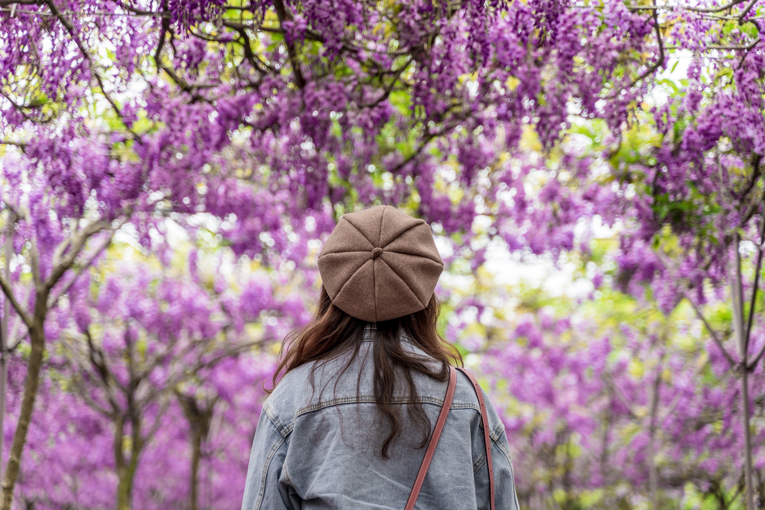 Guide to Flower Viewing and Leisure Farms in Taiwan - whywendywrites